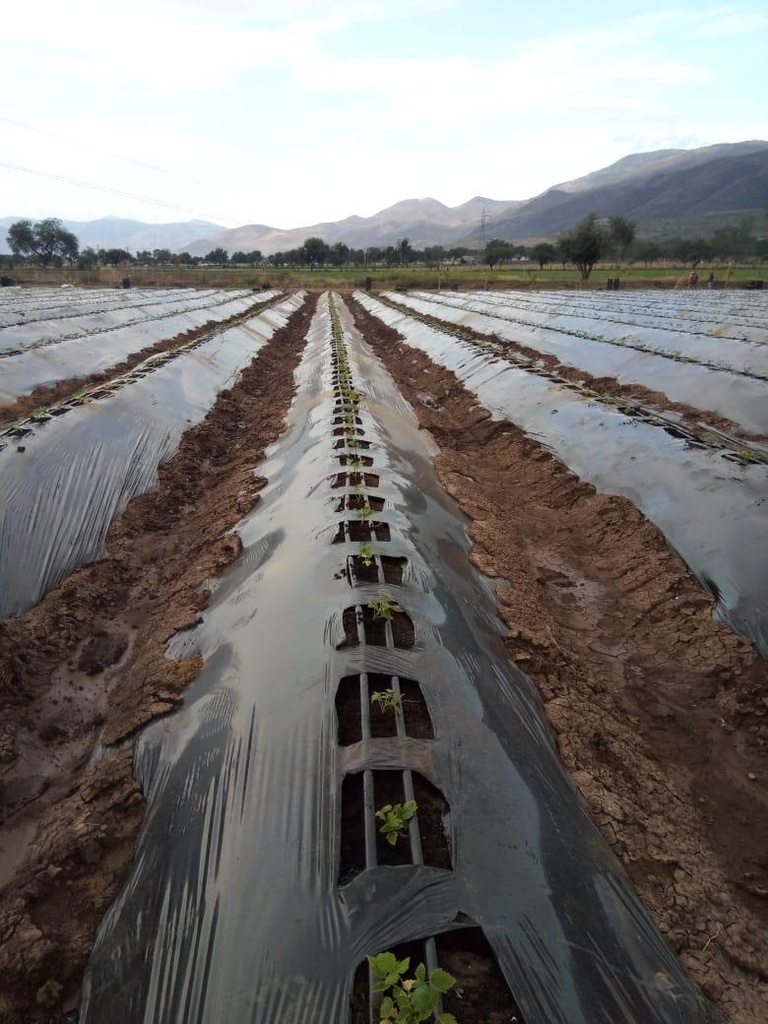 Acolchado negro negro ancho 1.20 mts x 915 mts de largo calibre 100 NN ...